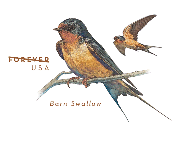 Barn Swallow Envelope U S 2017 Virtualstampclub barn-swallow-envelope-u-s-2017-virtualstampclub