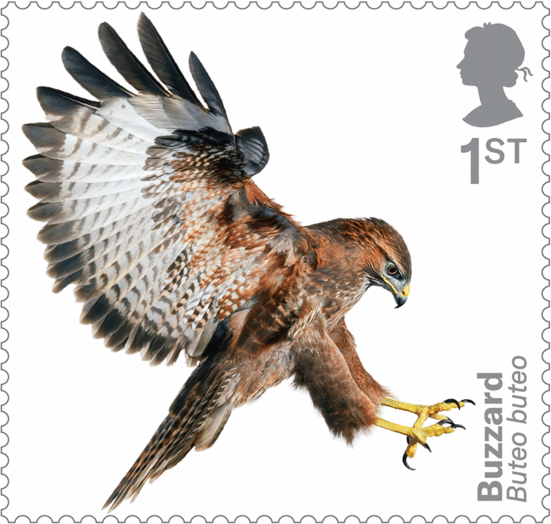 Birds Of Prey (UK 2019) | virtualstampclub.com