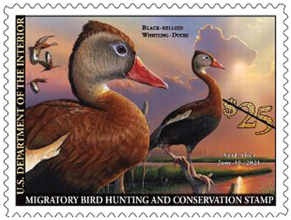 U.S. Federal Duck Stamps 2020-21 | virtualstampclub.com