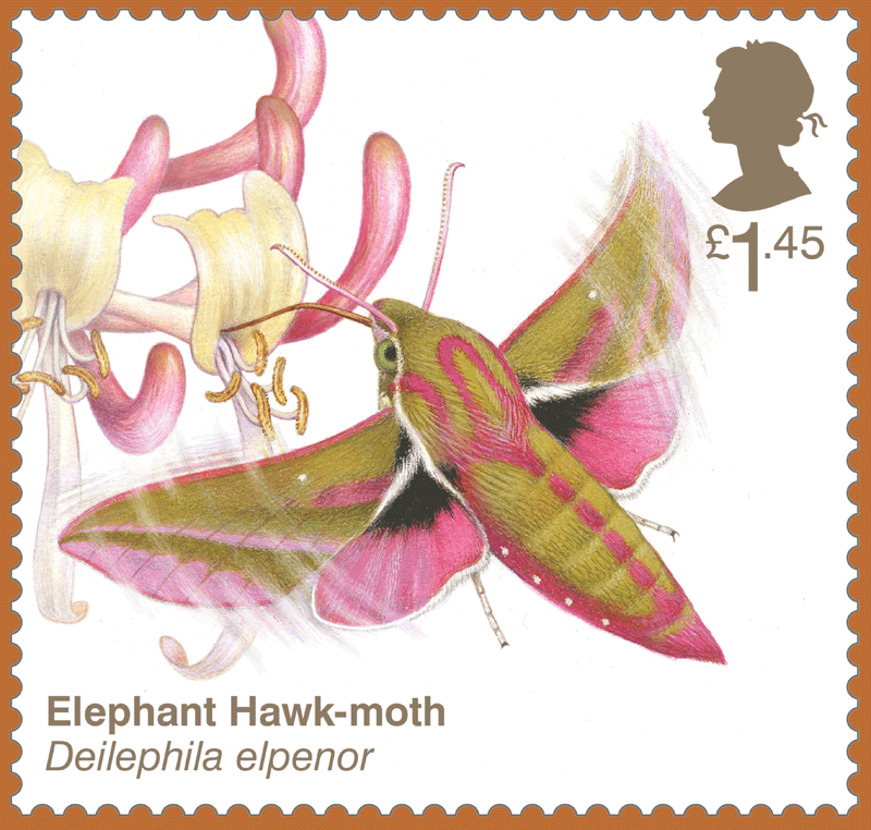 Pollinating Insects (UK 2020) | virtualstampclub.com