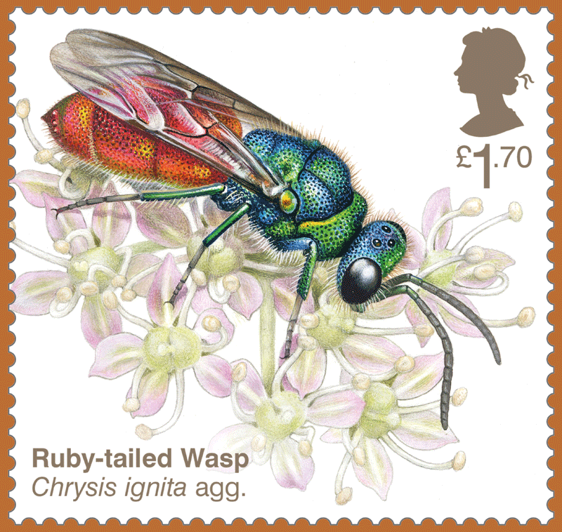 Pollinating Insects (UK 2020) | virtualstampclub.com