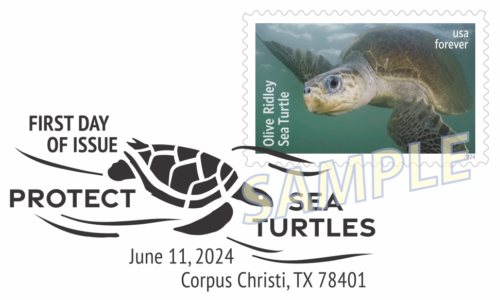 Protect Sea Turtles (U.S. 2024) | virtualstampclub.com